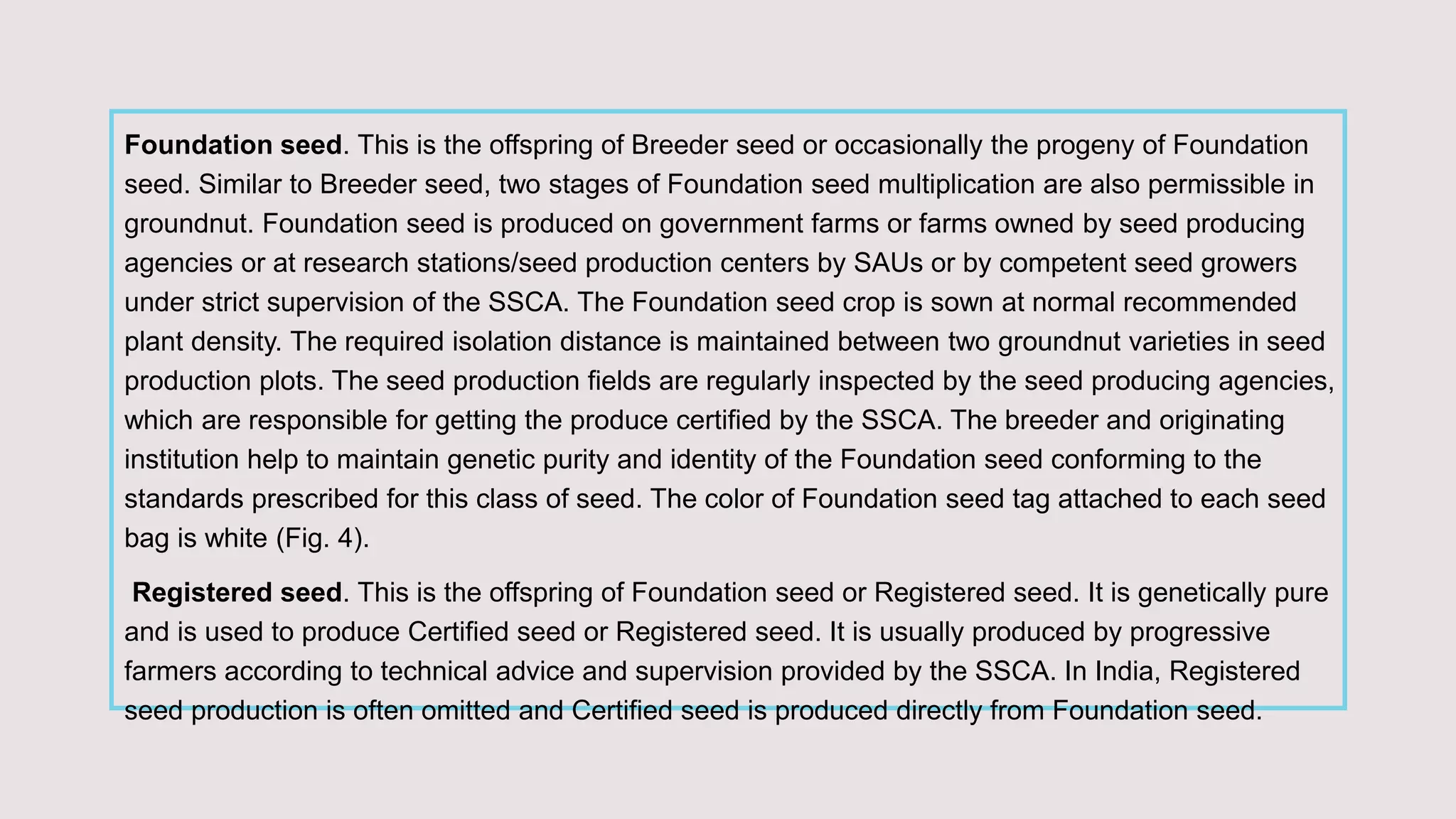 Seed production in oil seeds.pptx