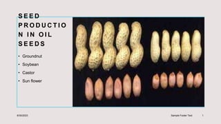 Seed production in oil seeds.pptx