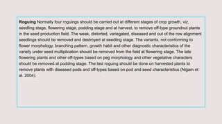 Seed production in oil seeds.pptx