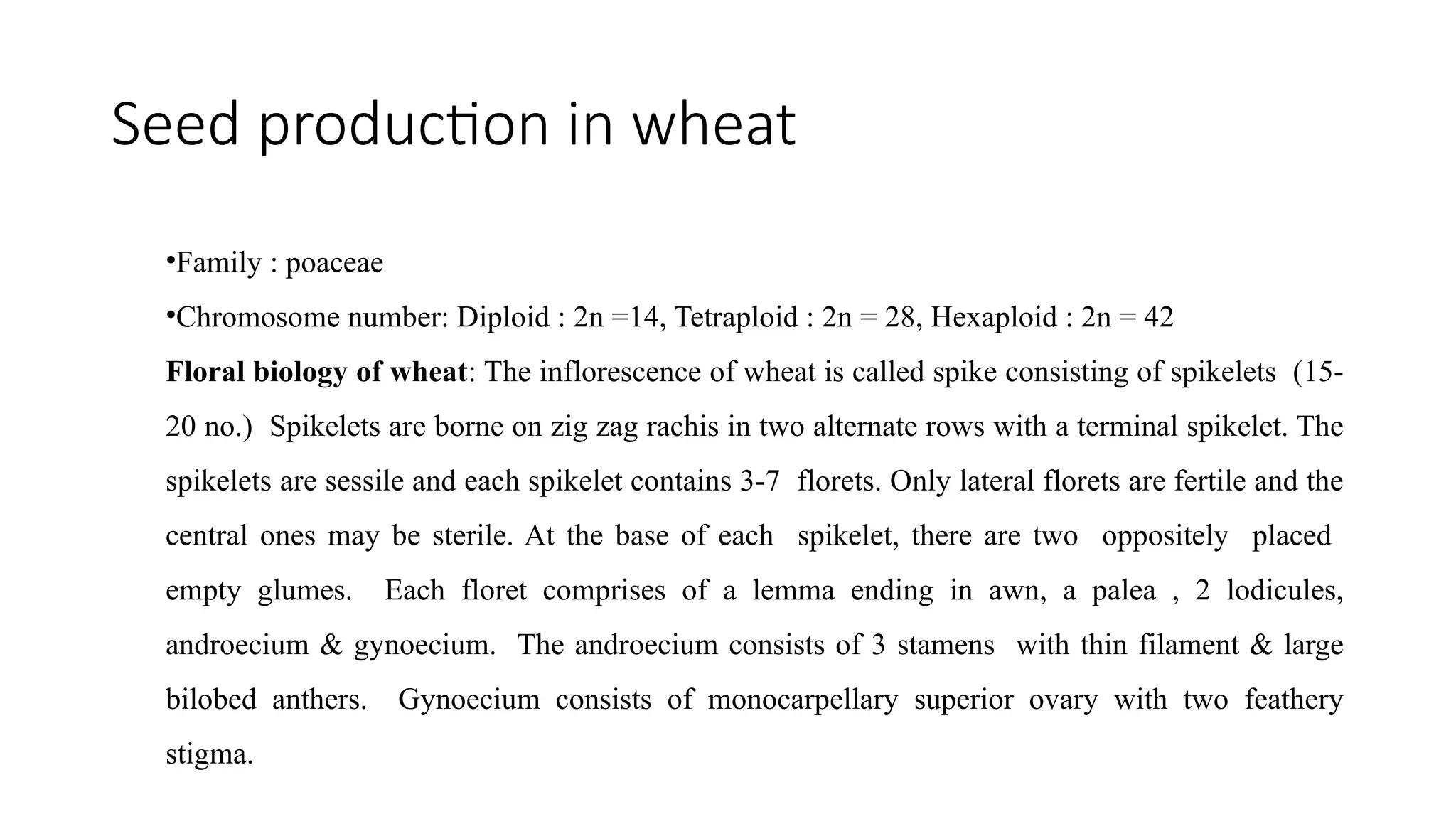Seed production in wheat hybrid seed and others | PPTX