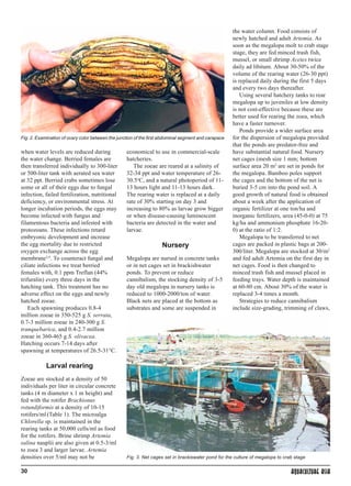 Seed production mudcrab | PDF