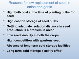 Seed production techniques of bulb crops | PPTX