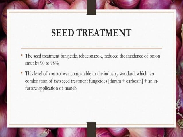 Seed production techniques of bulb crops | PPTX