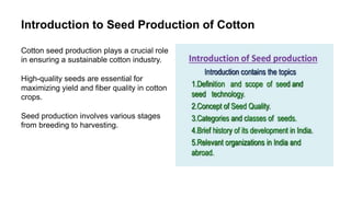 Seed Production Of Cotton/ univeribchvchdvhj | PPT