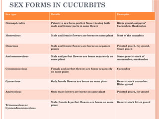 seed production of cucurbits.ggggggggggggggg | PPT