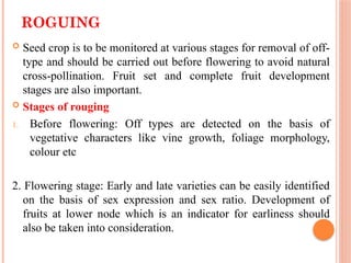 seed production of cucurbits.ggggggggggggggg | PPTX