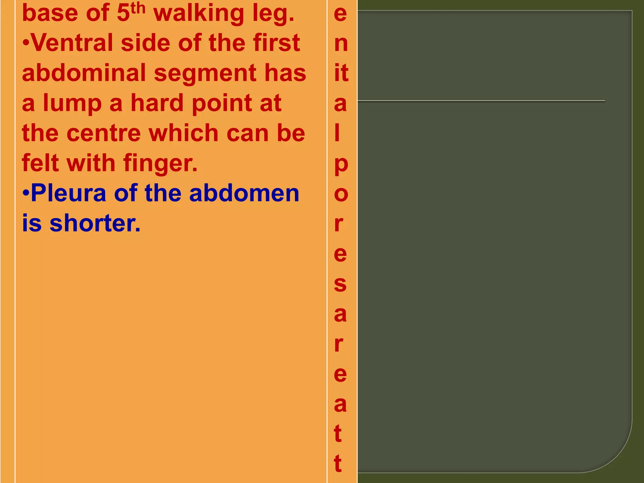 Seed production of giant freshwater prawn fisheries ppt | PPTX