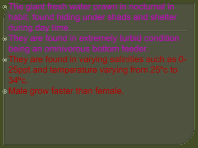 Seed production of giant freshwater prawn fisheries ppt | PPTX