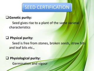 Seed production of maize | PPTX