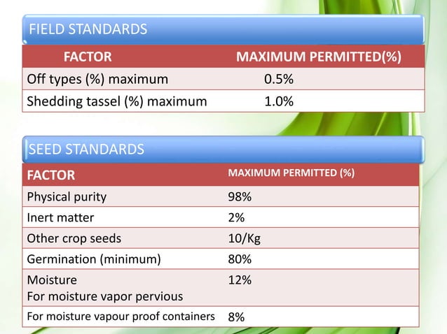 Seed production of maize | PPTX
