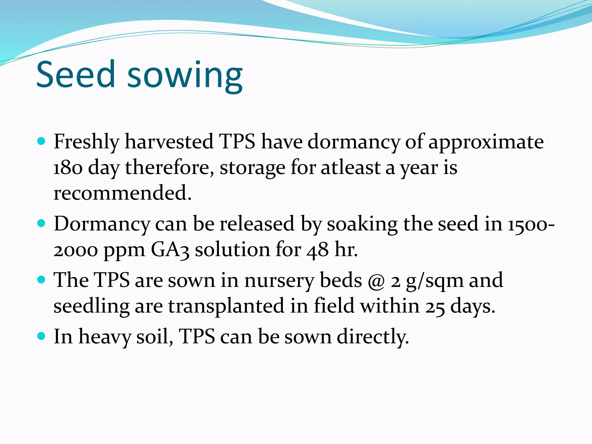Production technique of true potato seed | PPTX