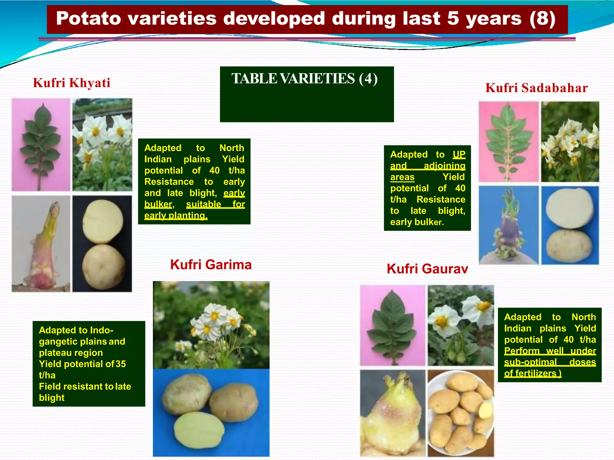 Production technique of true potato seed | PPTX