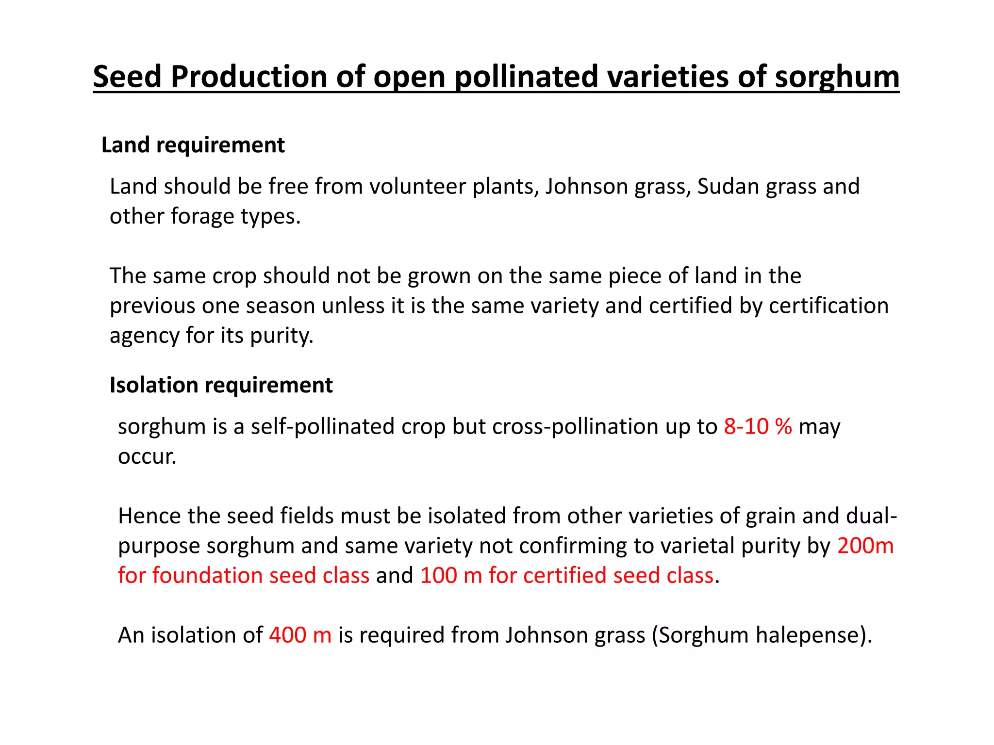 Seed production of sorghum crop. | PPTX