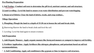 SEED PRODUCTION technology OF WHEAT.pptx