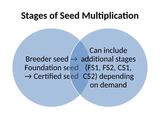 Seed_Production Technology in Rice (Paddy).pptx