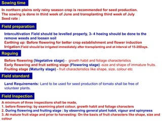 Seed Production, solanaceous, vegetables.p.pdf
