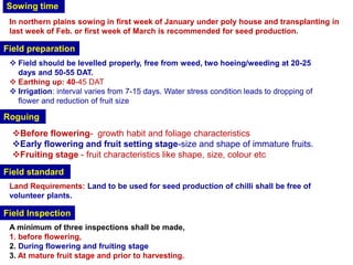 Seed Production, solanaceous, vegetables.p.pdf