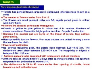 Seed Production, solanaceous, vegetables.p.pdf
