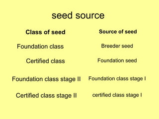 Seed production system in india | PPT