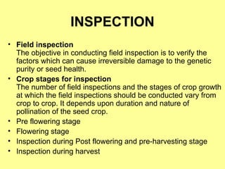Seed production system in india | PPT