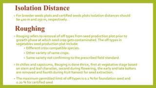 Seed Production Technologies for Chili and capsicum | PPTX