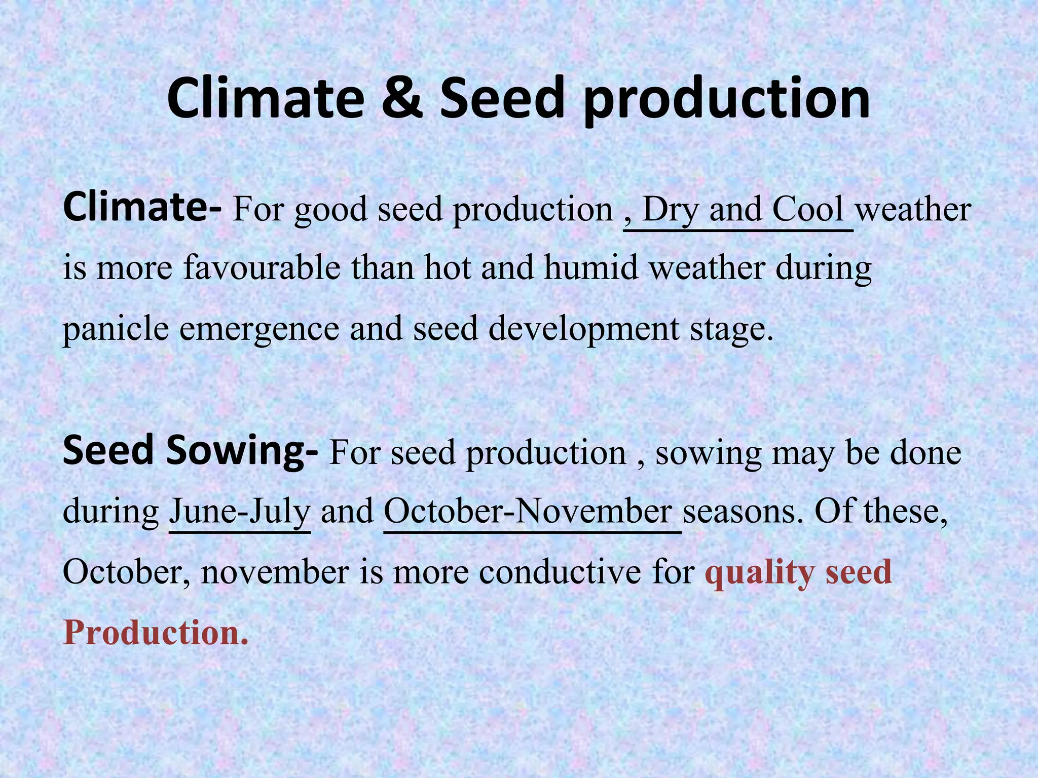 Seed Production Technology in Sorghum.pptx