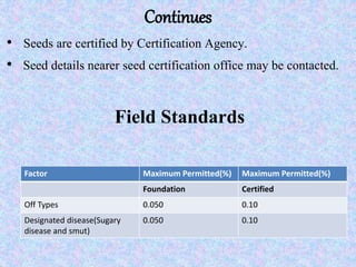 Seed Production Technology in Sorghum.pptx | Agriculture | Industries