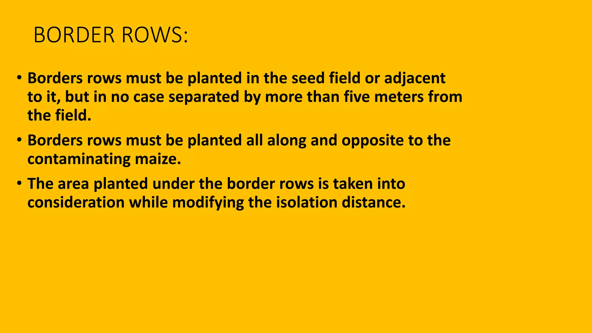 Seed production technology of maize | PPTX