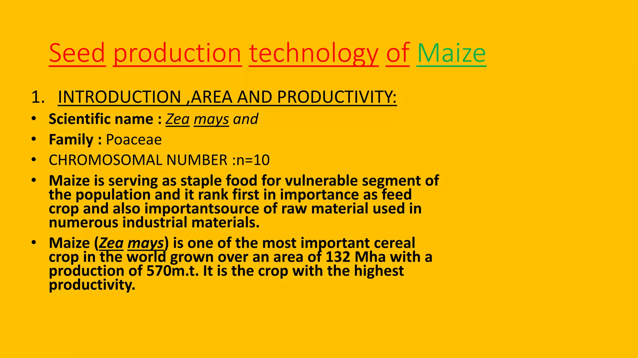 Seed production technology of maize | PPTX