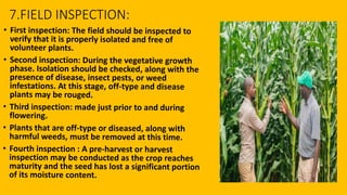 Seed production technology of maize | PPTX