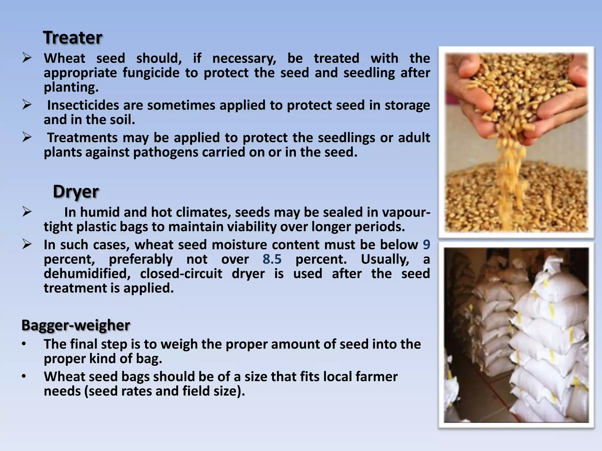 Seed production technology of wheat | PPSX