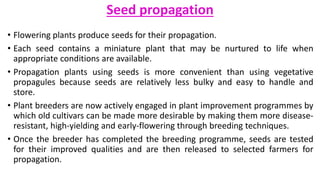Seed propagation | PPTX