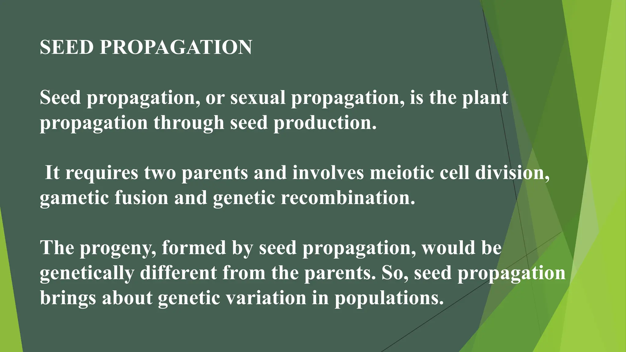 SEED PROPAGATION.pptx