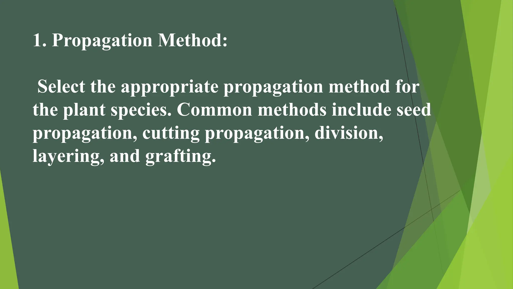 SEED PROPAGATION.pptx