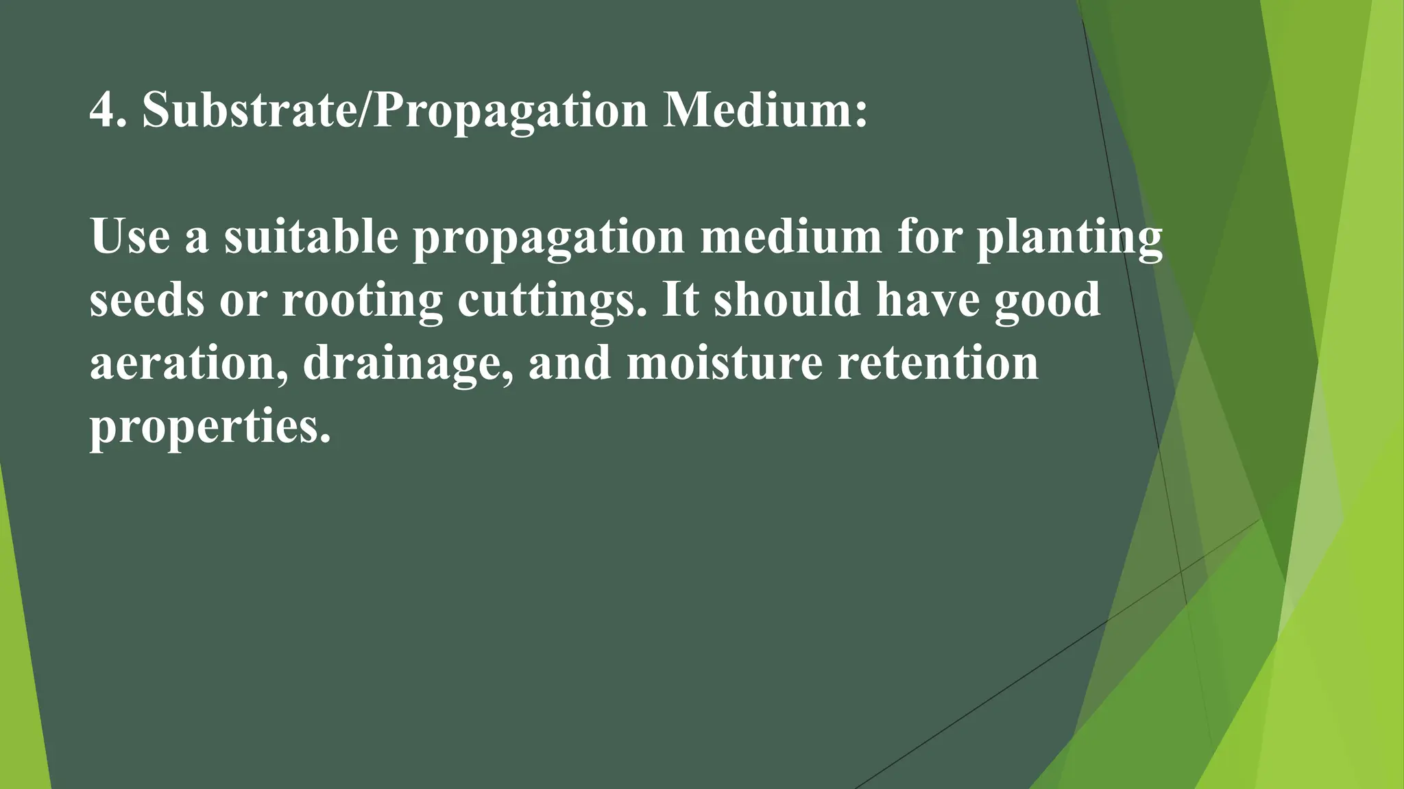 SEED PROPAGATION.pptx