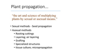 Seed propagation in plants | PPTX