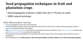 Seed propagation in plants | PPTX