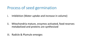 Seed propagation in plants | PPTX