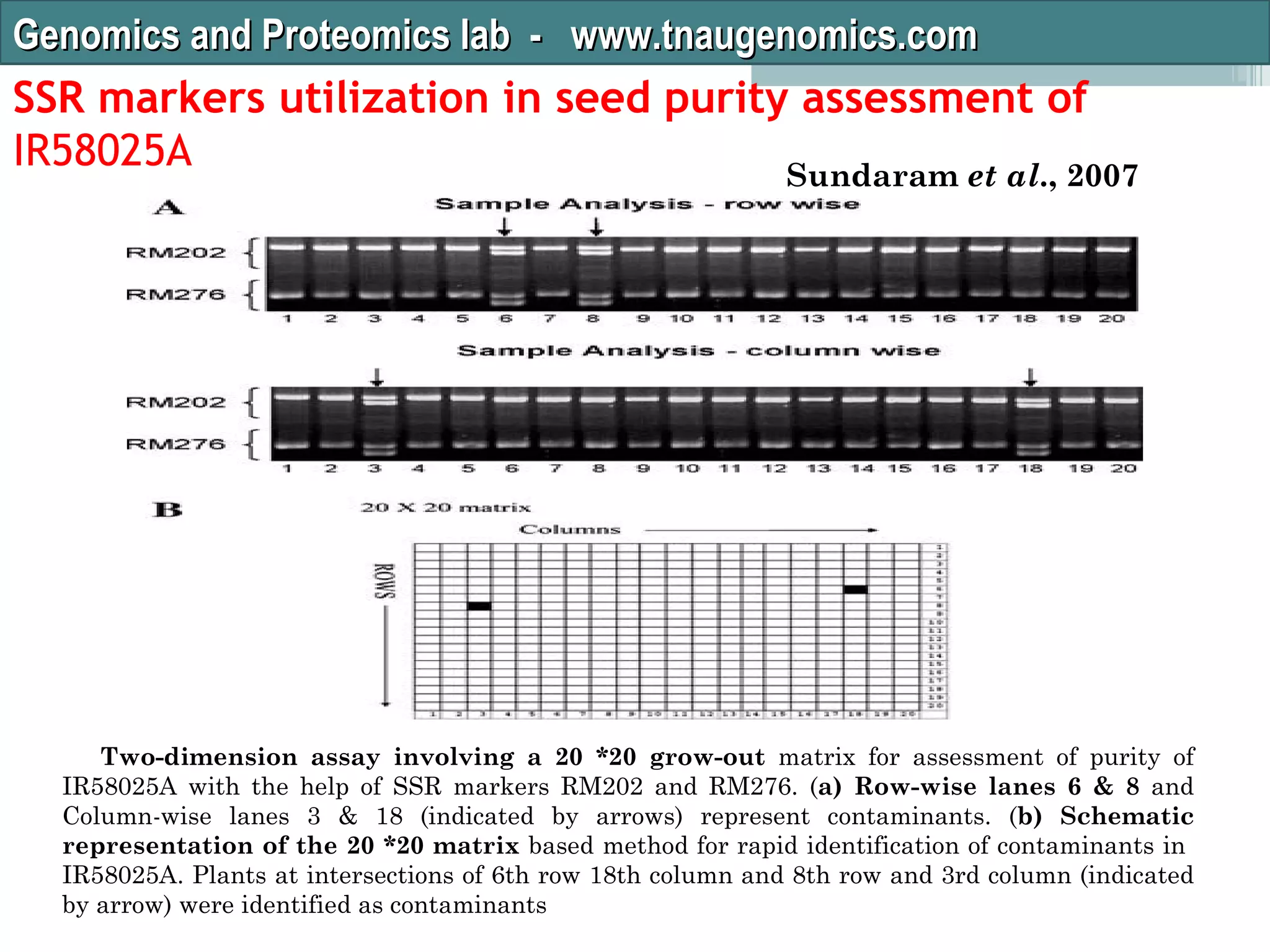 Seed purity test | PPT