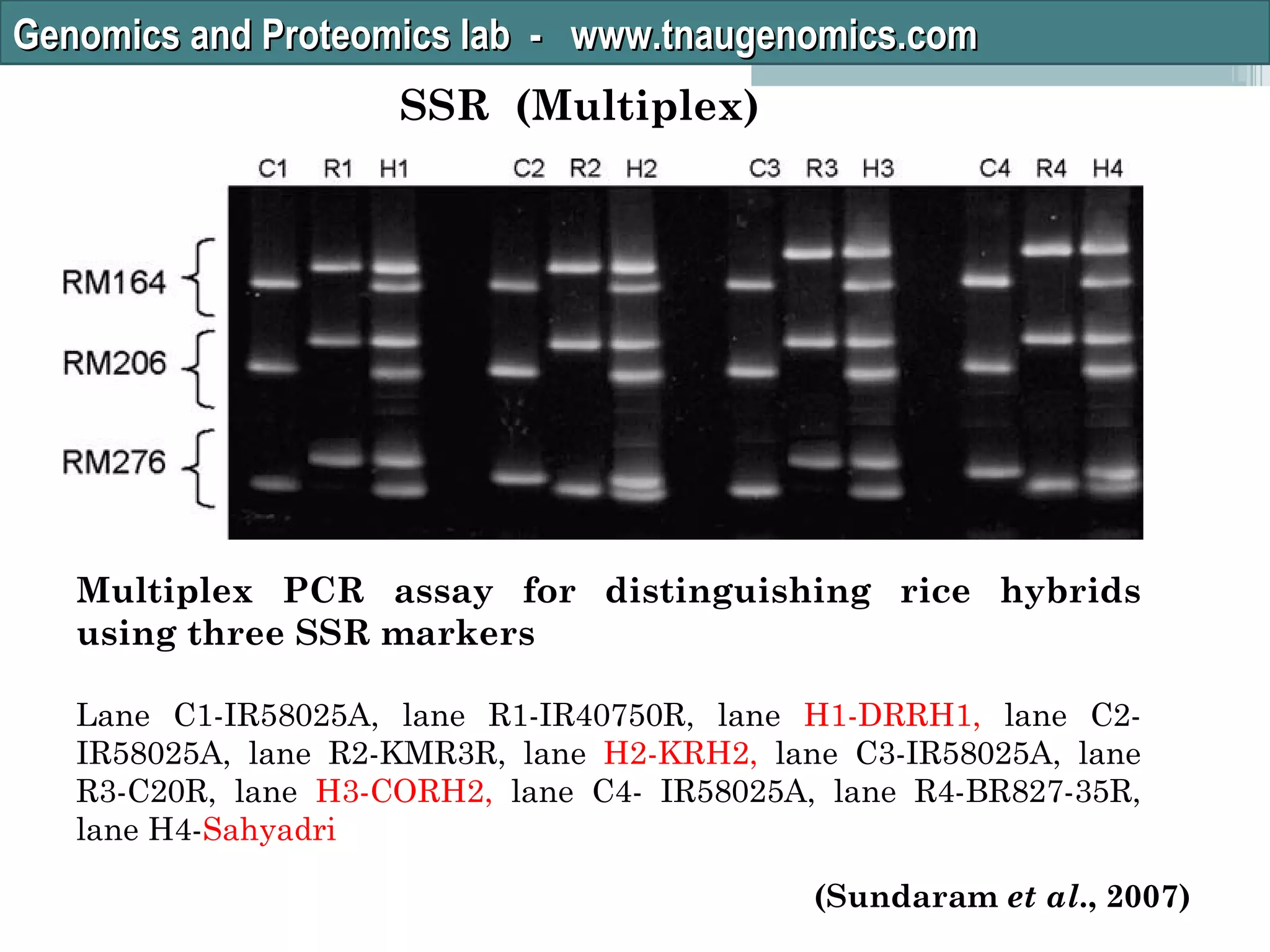 Seed purity test | PPT