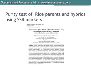 Seed purity test | PPT