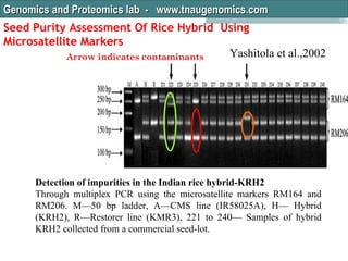 Seed purity test | PPT