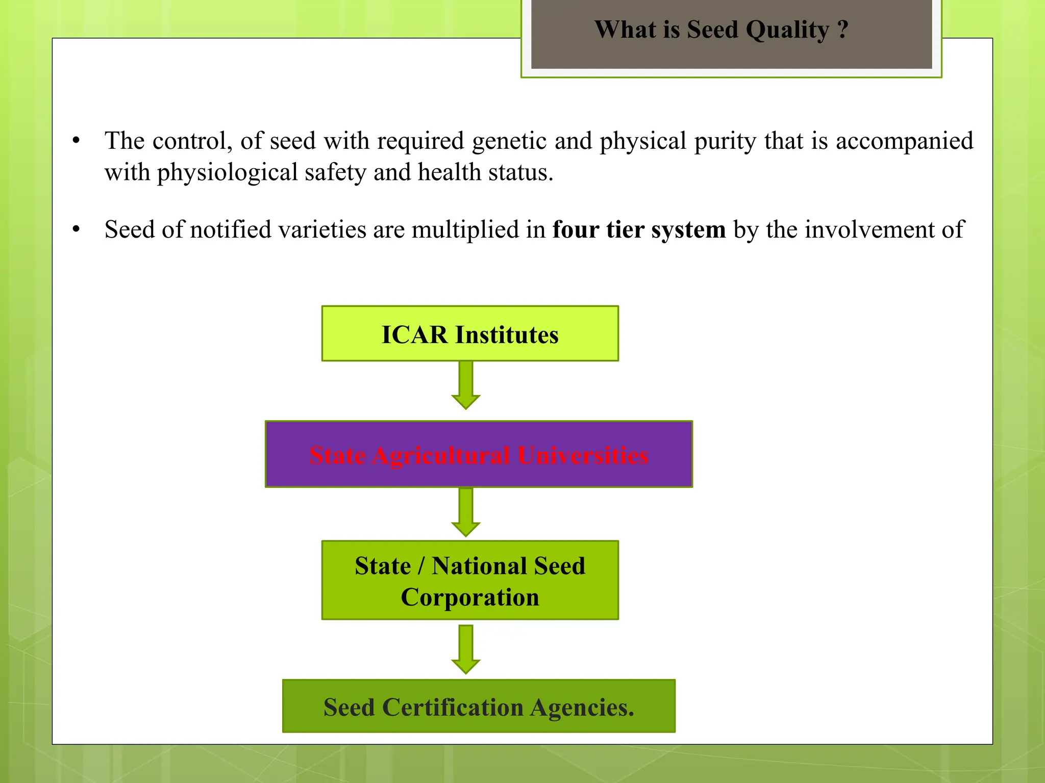 Seed Quality and Characters of good quality Seeds.pptx