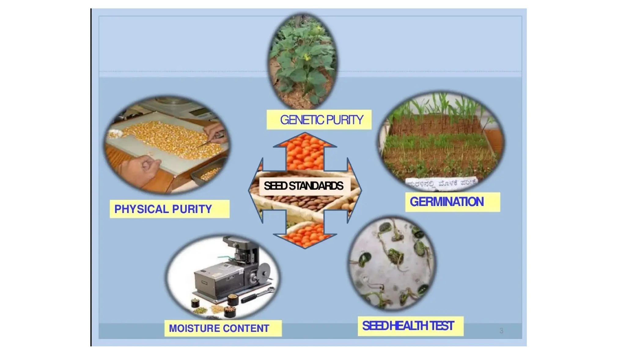 Grow Out Test (Seed Quality and Testing ) | PPTX