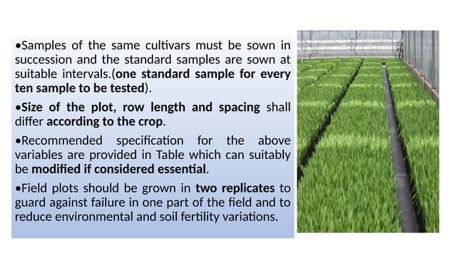 Grow Out Test (Seed Quality and Testing ) | PPTX