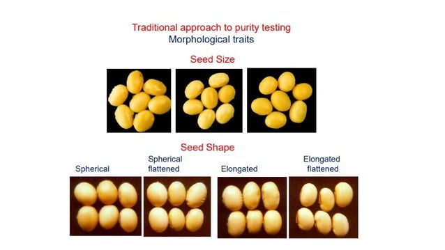 Grow Out Test (Seed Quality and Testing ) | PPTX