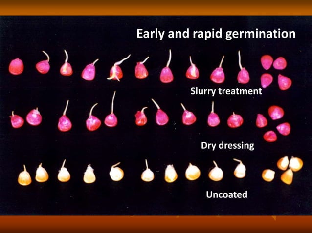 Seed Quality Enhancement | PPT | Gardening | Home & Garden