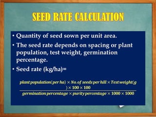 Seed rate calculation | PDF