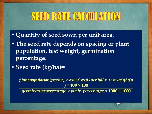 Seed rate calculation
