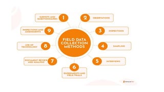 seed rate calculation with example of maize.pptx
